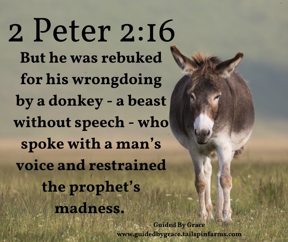 SPOKE WITH A MAN'S VOICE / 2 PETER 2:16 - Guided By Grace