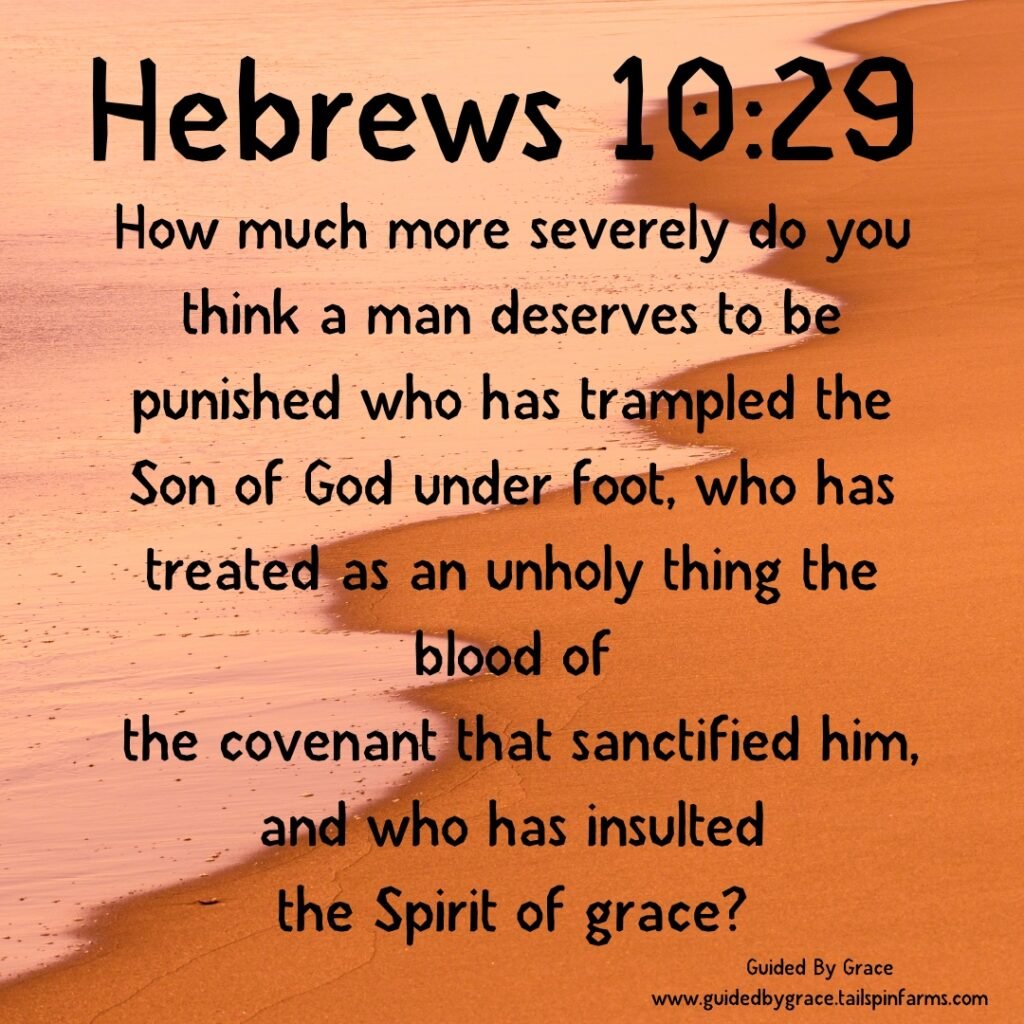 TRAMPLED THE SON OF GOD / HEBREWS 10:29 - Guided By Grace