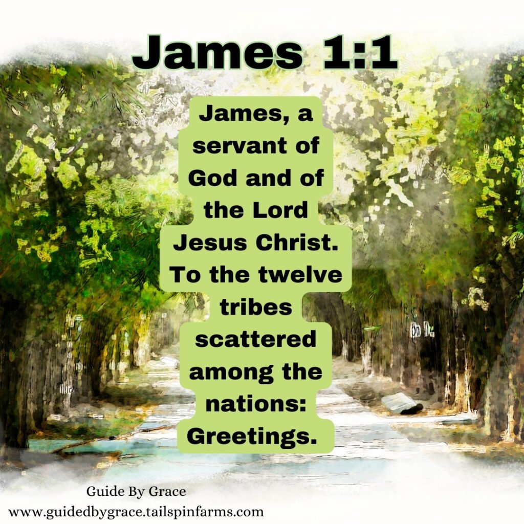 TO THE TWELVE TRIBES / JAMES 1:1 - Guided By Grace