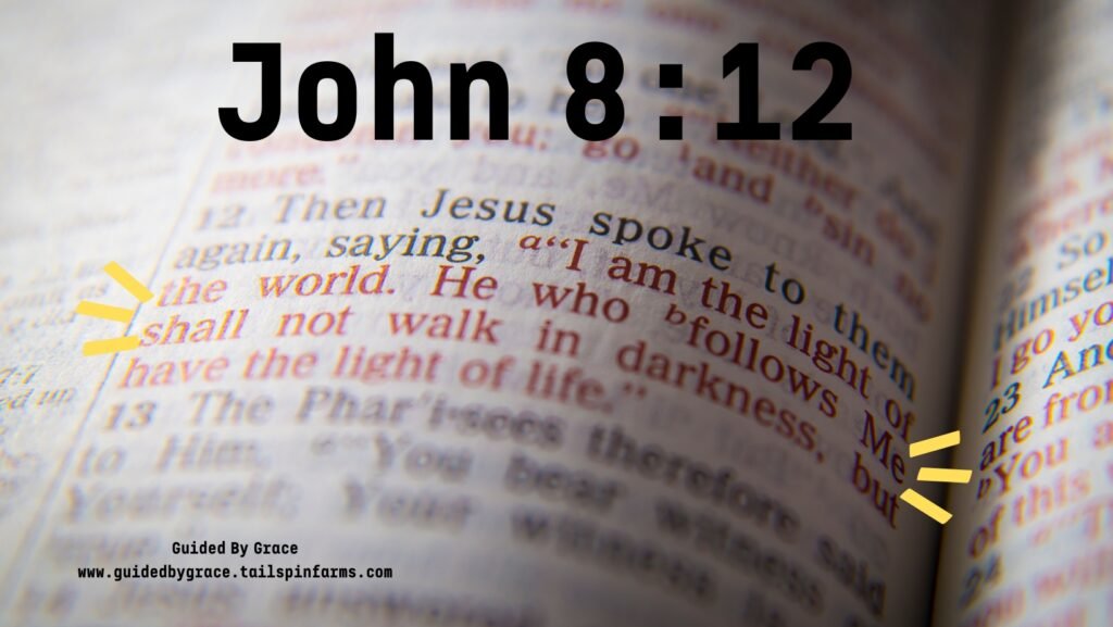 I AM THE LIGHT OF THE WORLD / JOHN 8:12 - Guided By Grace