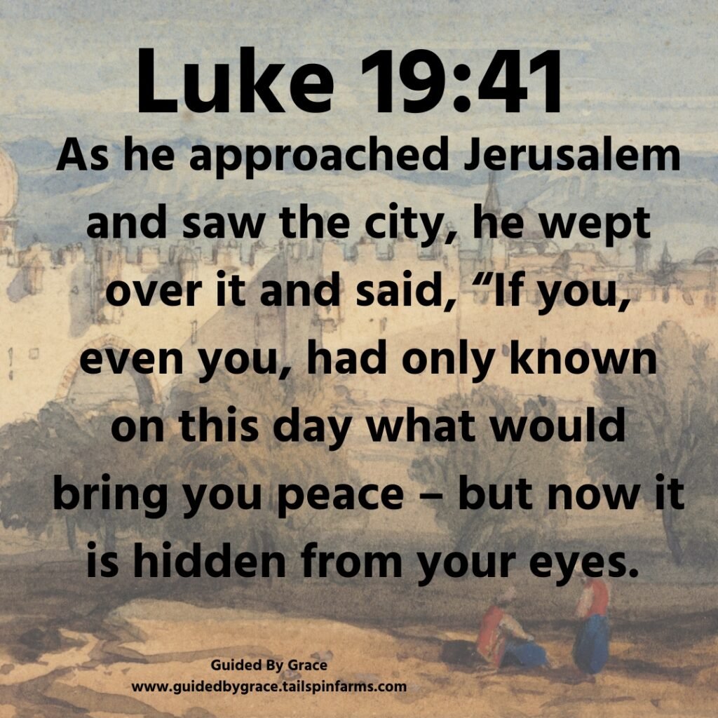 SAW THE CITY, HE WEPT / LUKE 19:41 - Guided By Grace