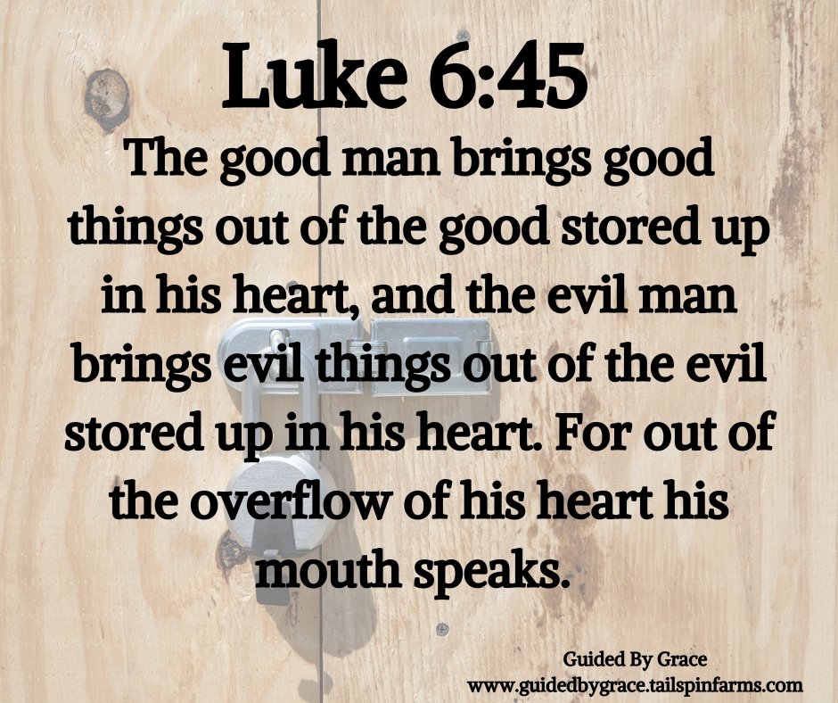 HIS HEART / LUKE 6:45 - Guided By Grace