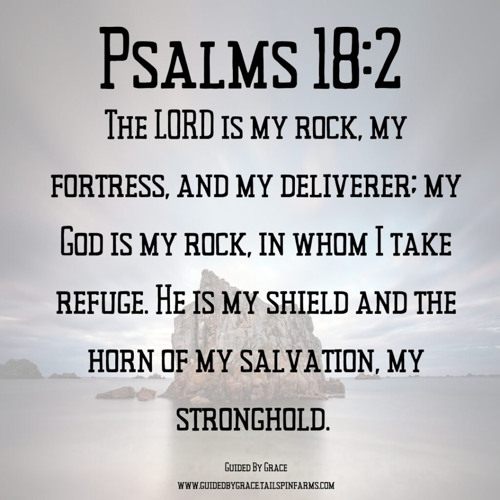 MY ROCK MY FORTRESS AND MY DELIVERER / PSALMS 18:2 - Guided By Grace