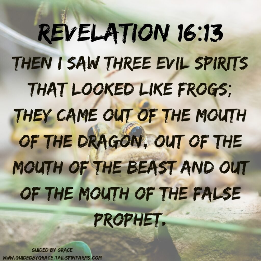 Frogs Revelation 16 13 Guided By Grace