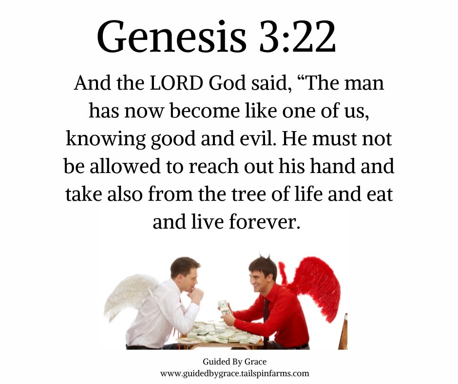KNOWING GOOD AND EVIL / GENESIS 3:22 - Guided By Grace