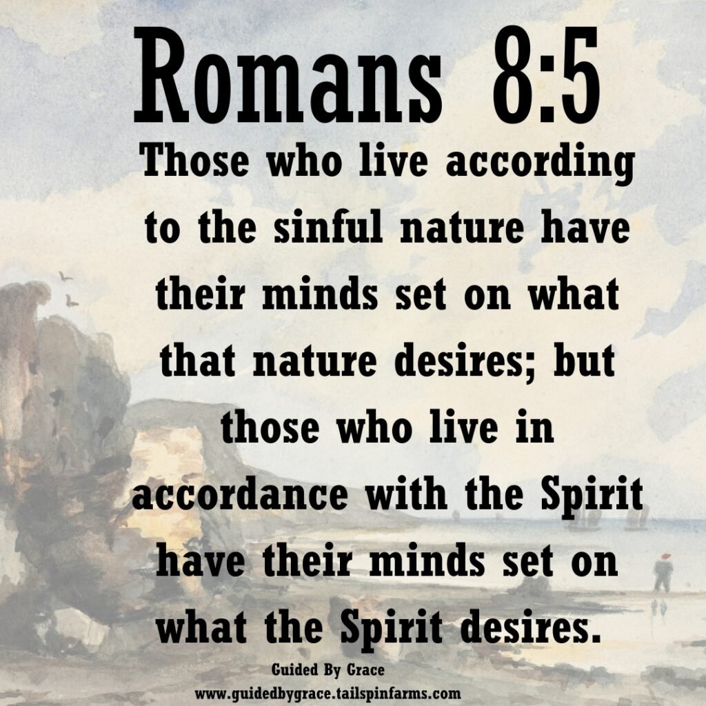 ACCORDING TO THE SINFUL NATURE ... THE SPIRIT / ROMANS 8:5 - Guided By ...
