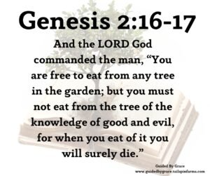 THE LORD GOD COMMANDED THE MAN / GENESIS 2:16 - Guided By Grace