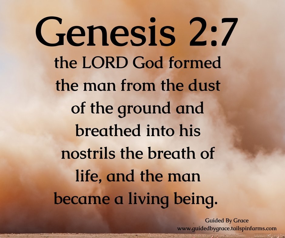A LIVING BEING / GENESIS 2:7 - Guided By Grace