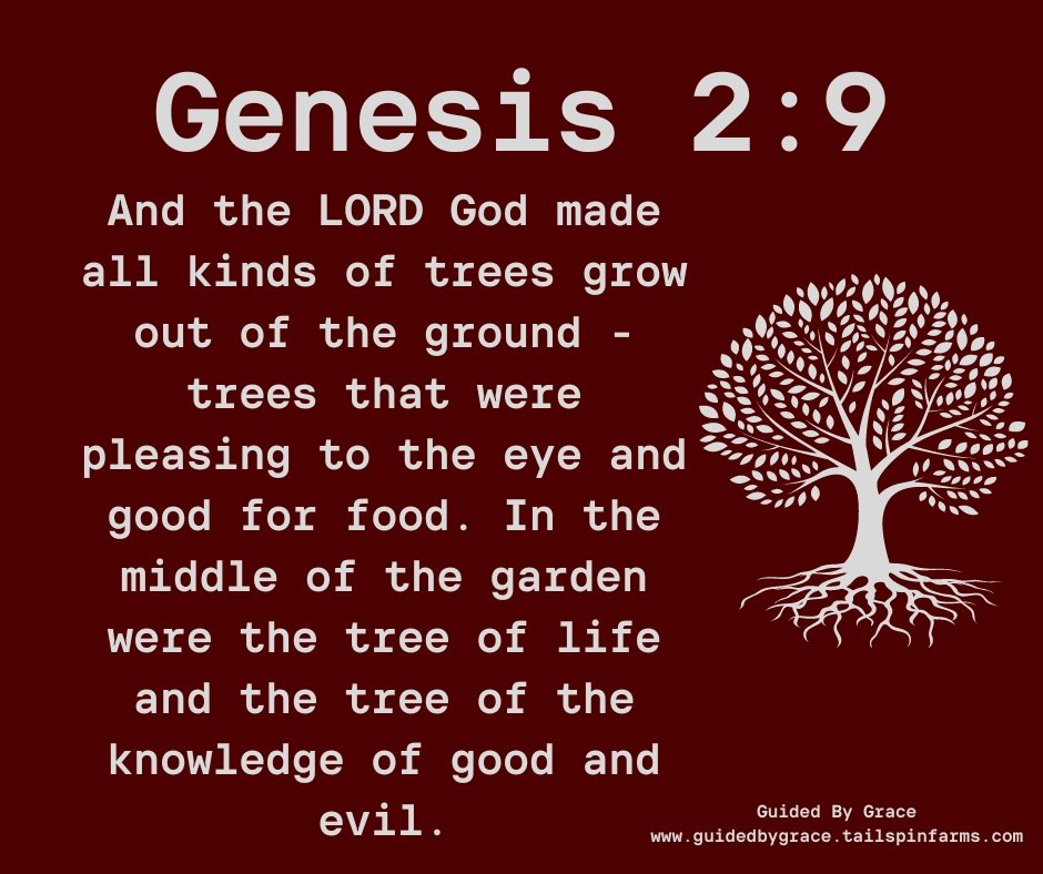 TREE OF LIFE / GENESIS 2:9 - Guided By Grace