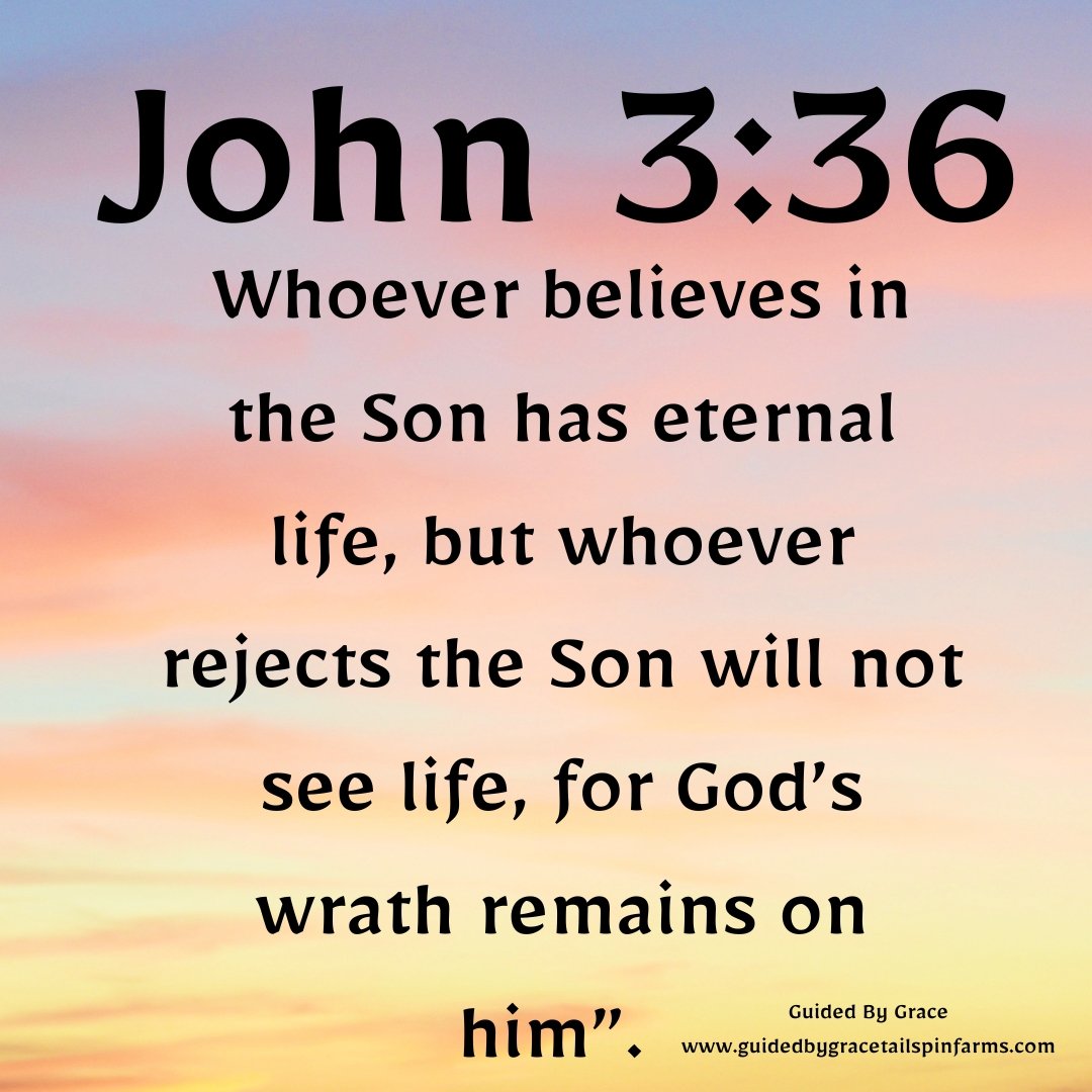 WHOEVER REJECTS / JOHN 3:36 - Guided By Grace