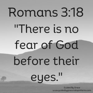 NO FEAR OF GOD / ROMANS 3:10 - Guided By Grace