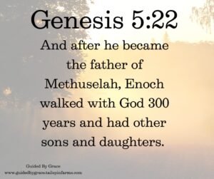 ENOCH WALKED WITH GOD / GENESIS 5:22 - Guided By Grace