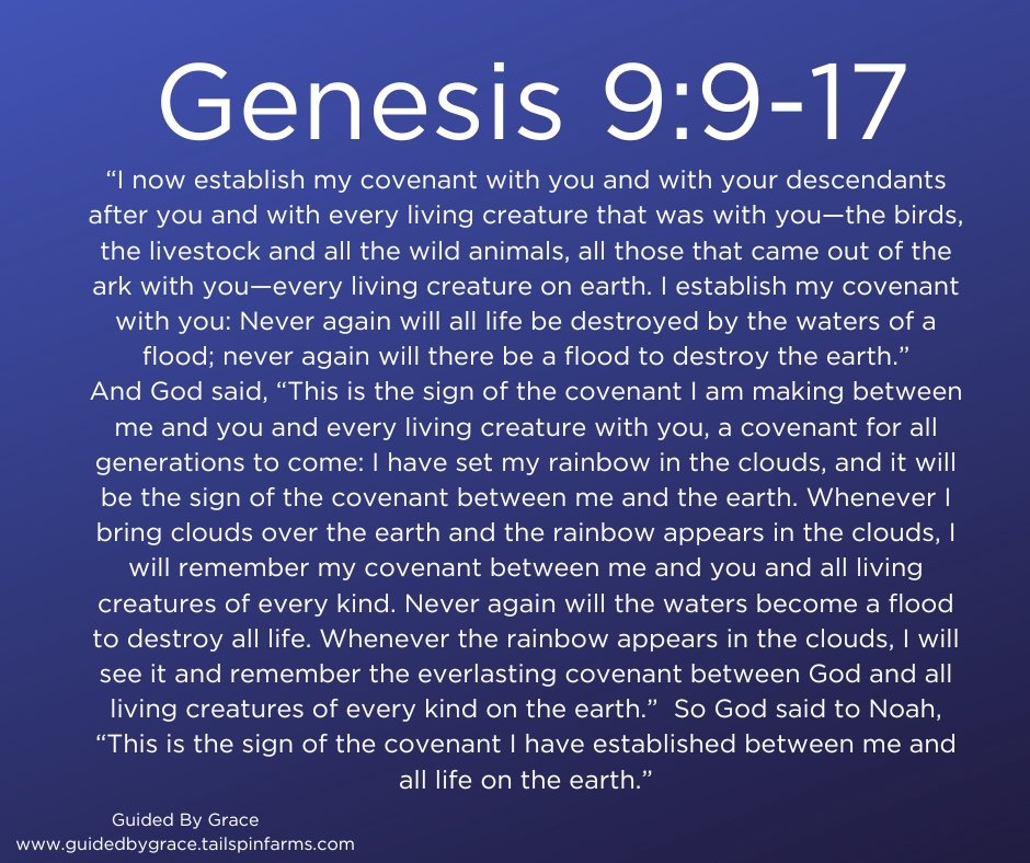 I NOW ESTABLISH MY COVENANT / GENESIS 9:9-17 - Guided By Grace