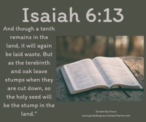 THE HOLY SEED / ISAIAH 6:13 - Guided By Grace