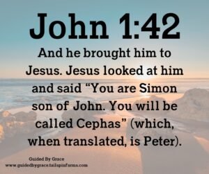 CEPHAS ... PETER / JOHN 1:42 - Guided By Grace