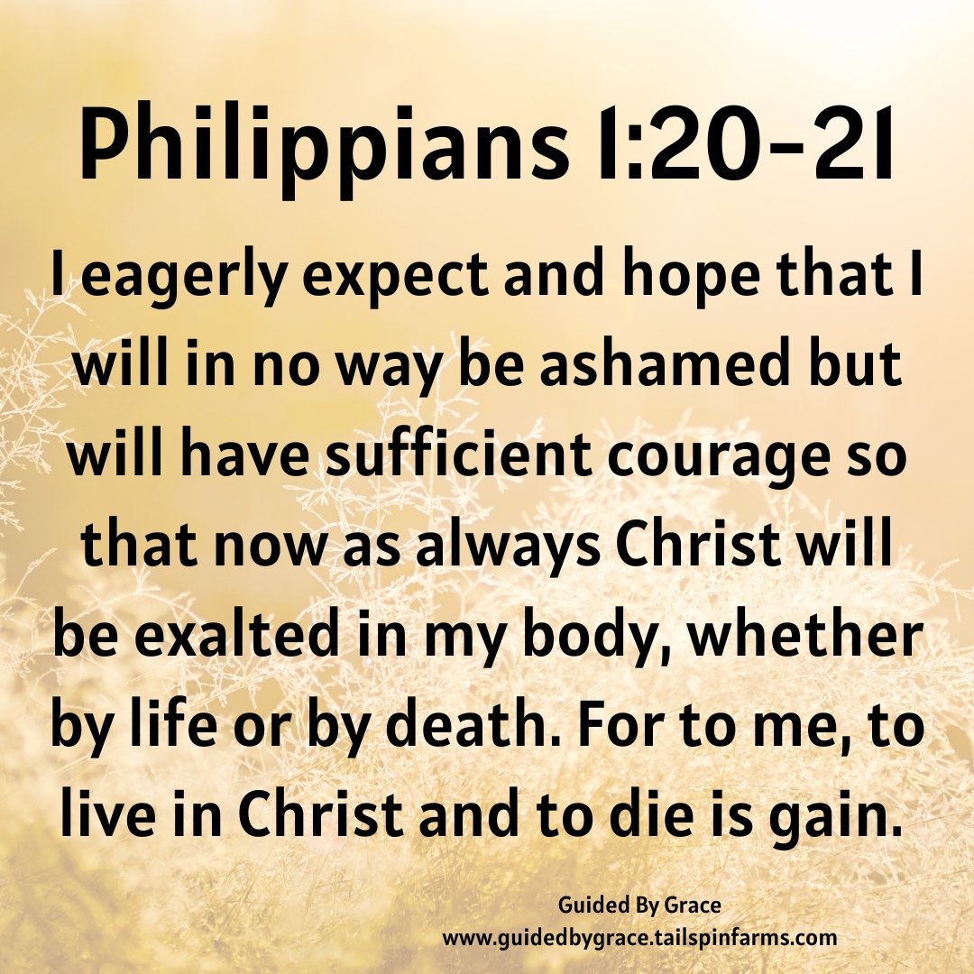 Philippians Archives - Guided By Grace