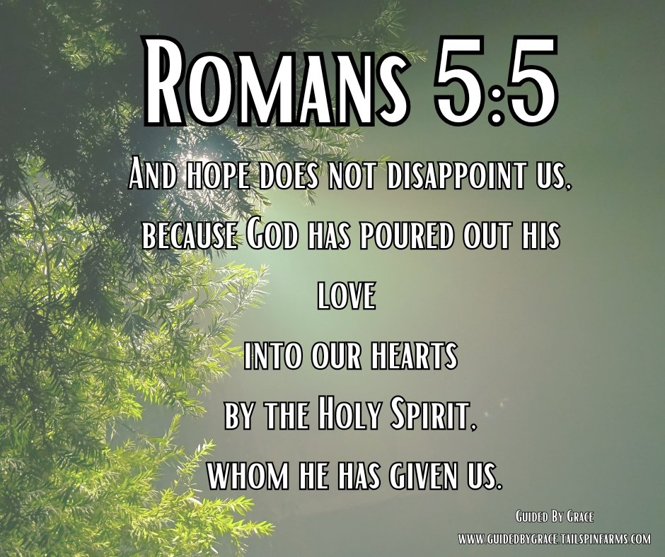HOPE DOES NOT DISAPPOINT / ROMANS 5:5 - Guided By Grace