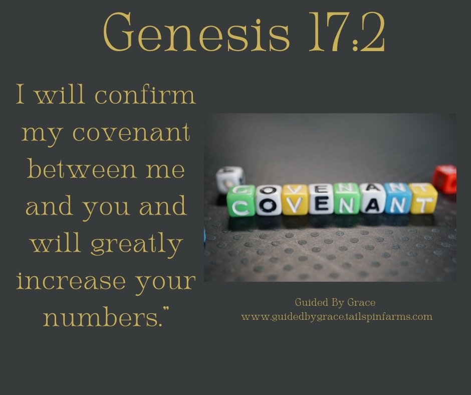 My Covenant Genesis 17 2 Guided By Grace