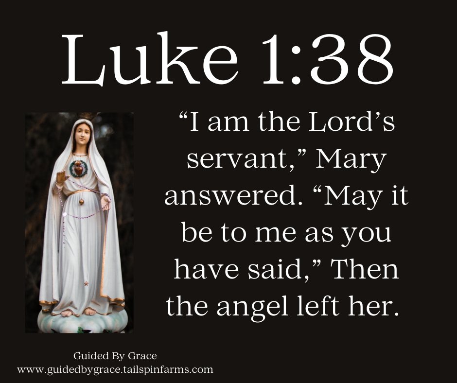 AS YOU HAVE SAID / LUKE 1:38 - Guided By Grace