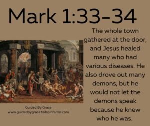 DROVE OUT MANY DEMONS / MARK 1:34 - Guided By Grace