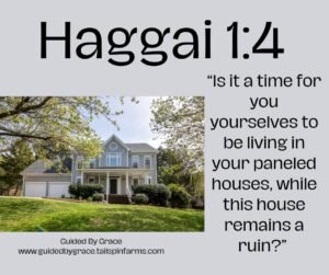 PANELED HOUSES / HAGGAI 1:4 - Guided By Grace