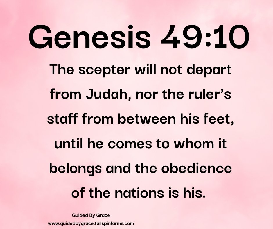 Genesis Archives - Guided By Grace