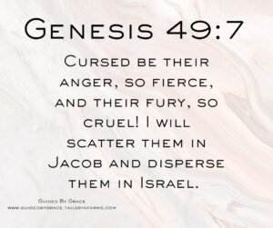 CURSED BE THEIR ANGER / GENESIS 49:7 - Guided By Grace