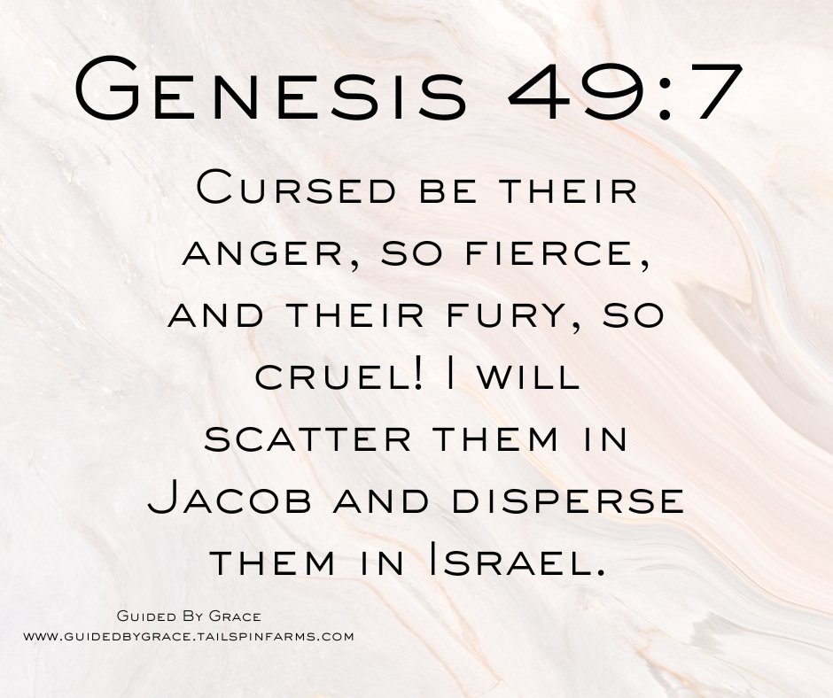 Genesis Archives - Guided By Grace