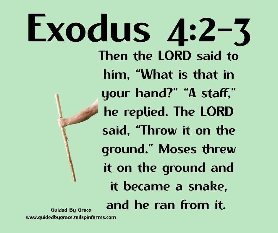 STAFF ... BECAME A SNAKE / EXODUS 4:2-3 - Guided By Grace
