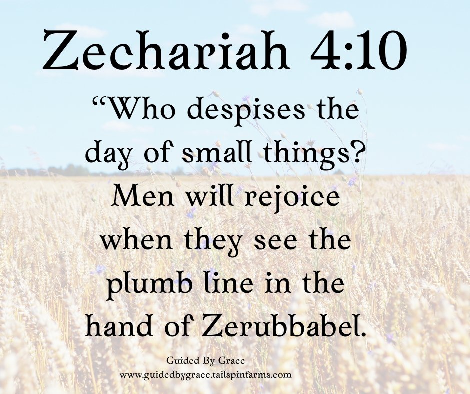 WHO DESPISES THE DAY OF SMALL THINGS? / ZECHARIAH 4:10 - Guided By Grace