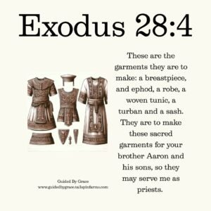 A BREASTPIECE / EXODUS 28:4 - Guided By Grace