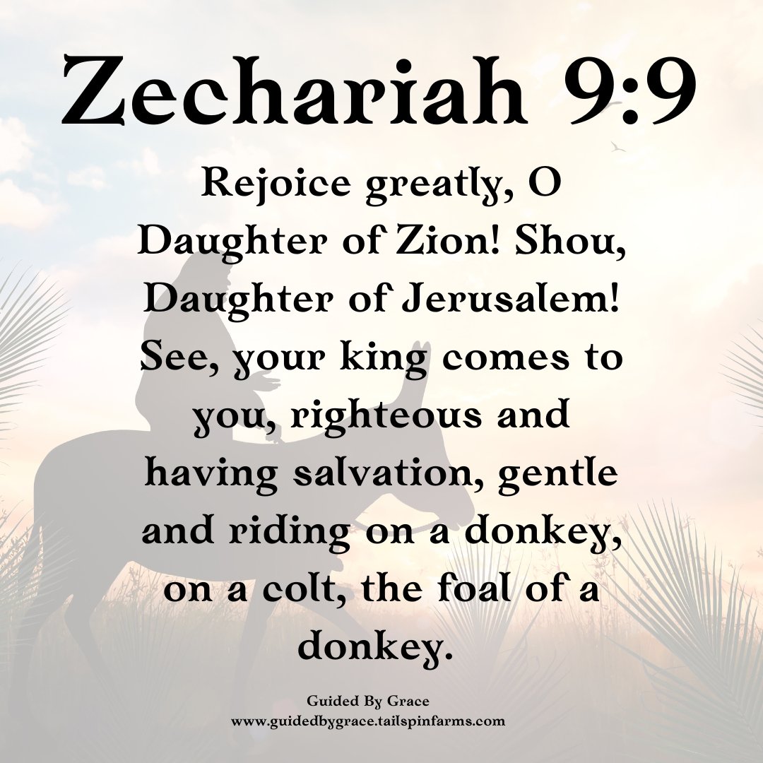 Zechariah Archives - Guided By Grace