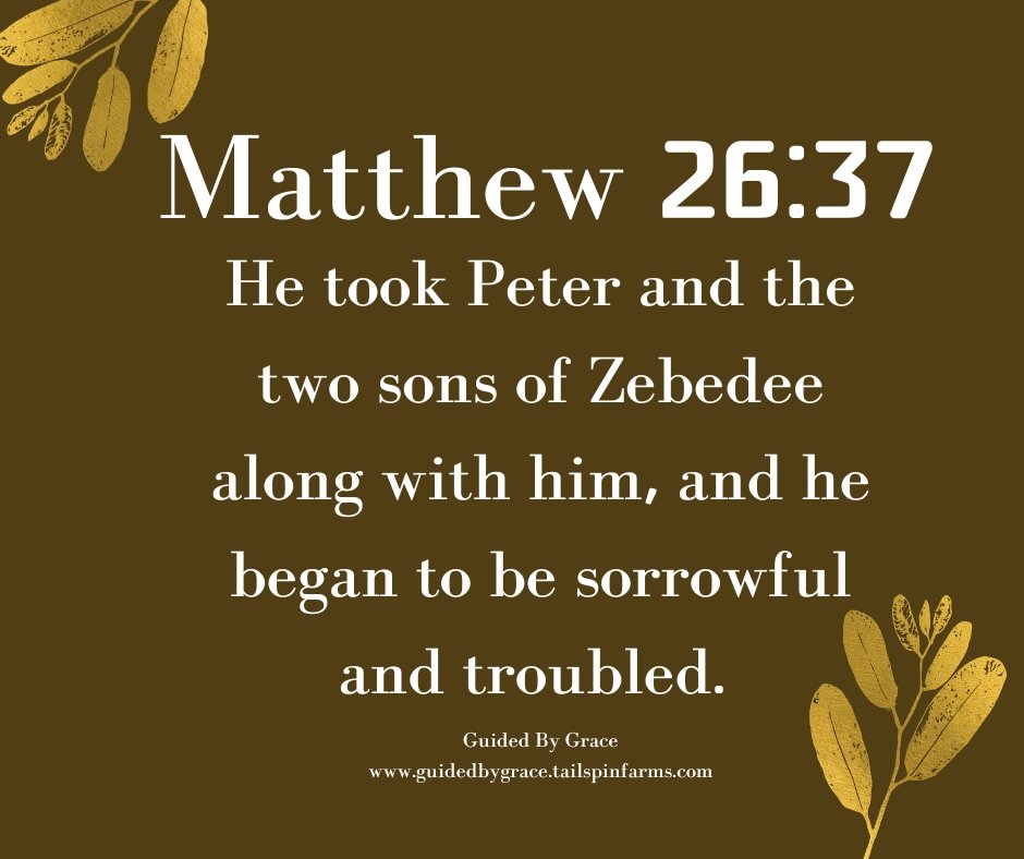 HE BEGAN TO BE SORROWFUL / MATTHEW 26:37 - Guided By Grace
