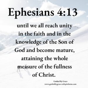 UNITY IN THE FAITH / EPHESIANS 4:13 - Guided By Grace