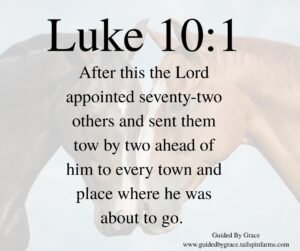 SENT THEM TWO BY TWO / LUKE 10:1 - Guided By Grace